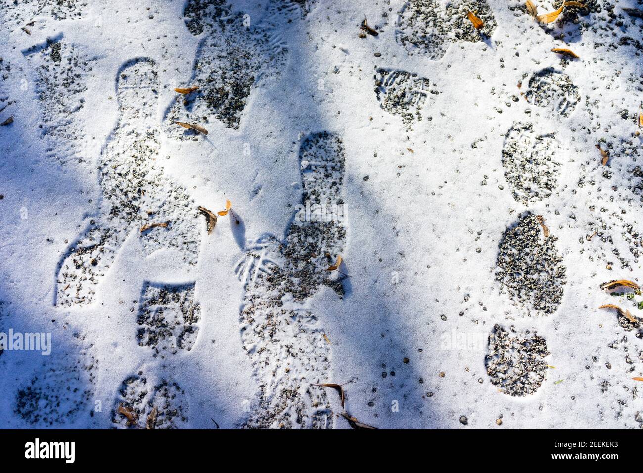 Footprints on snow Stock Photo - Alamy