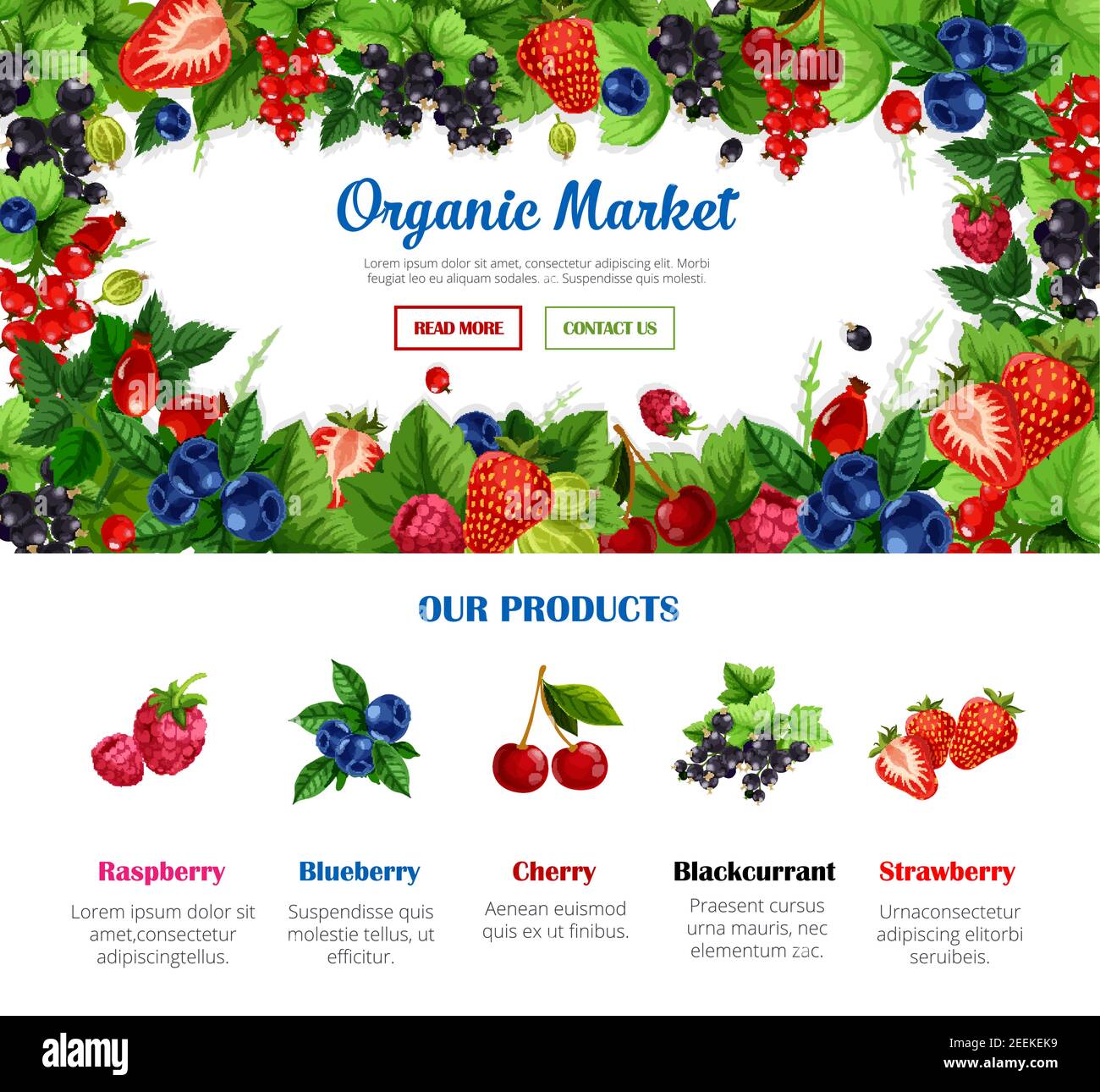 Fruit and berry frame for organic food market poster template ...