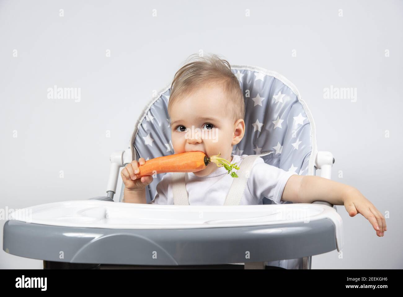 Cute little kid eating fresh raw carrots for lunch on a high chair on a ...