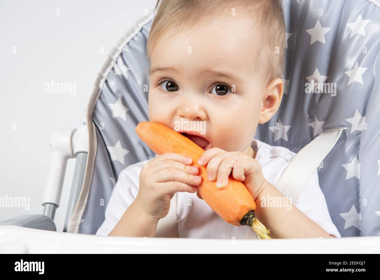 Cute little kid eating fresh raw carrots for lunch on a high chair on a ...