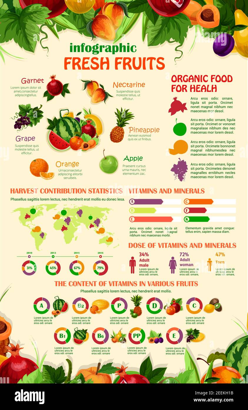 Fruits infographics template. Vector design elements of fruit ...