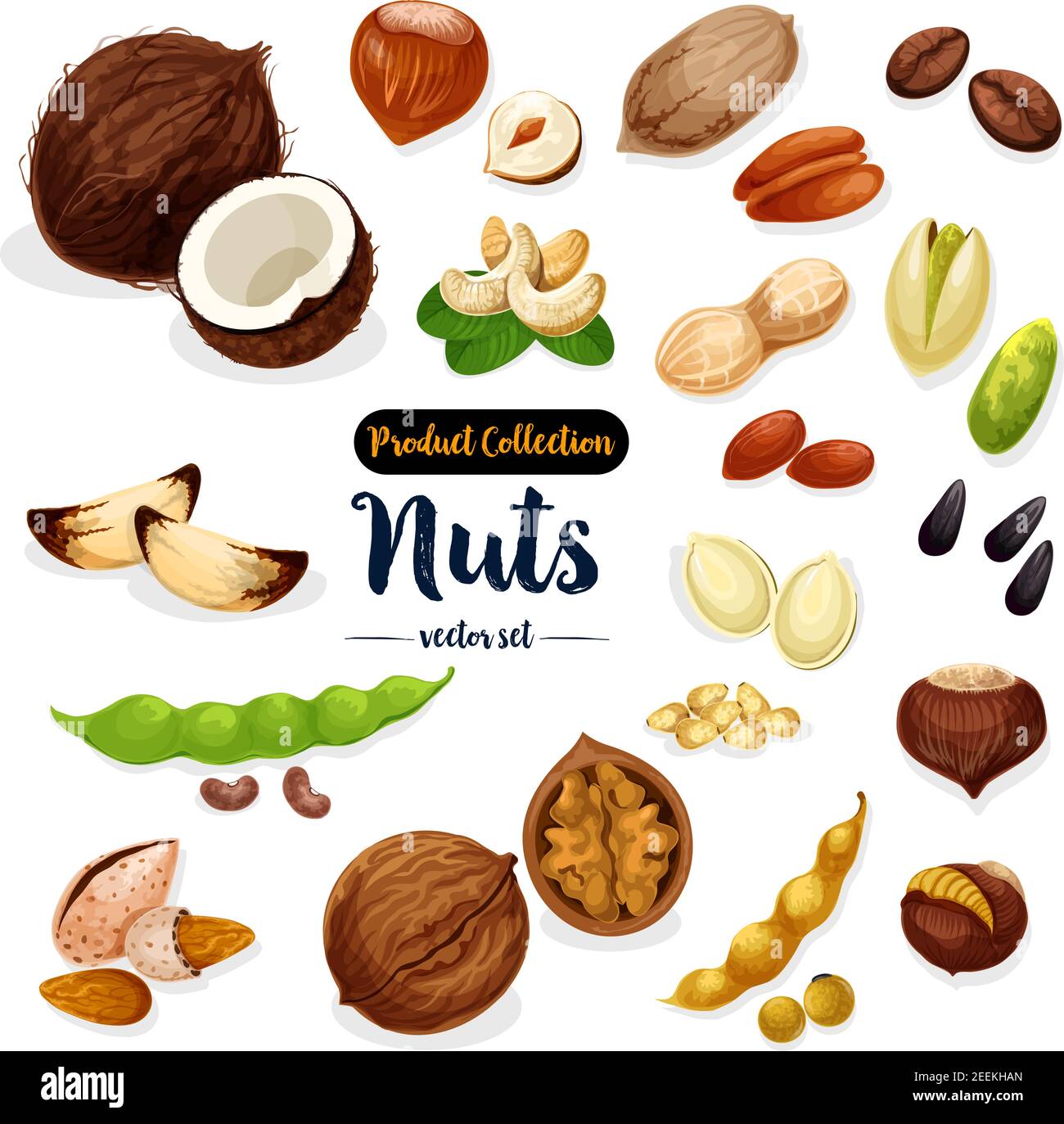 Soy beans brazil Stock Vector Images - Alamy