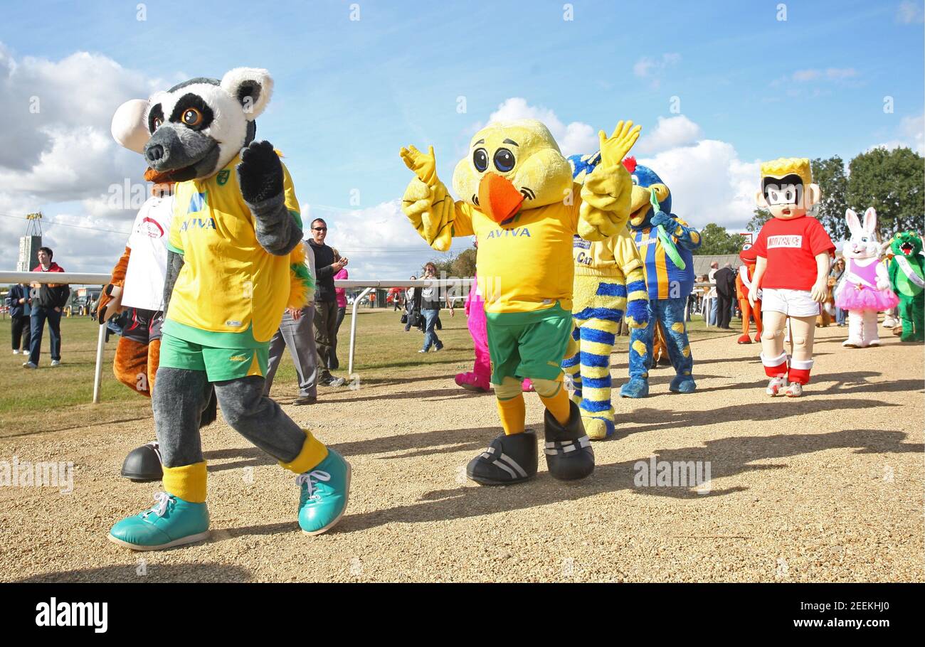 Aviva the lemur hi-res stock photography and images - Alamy