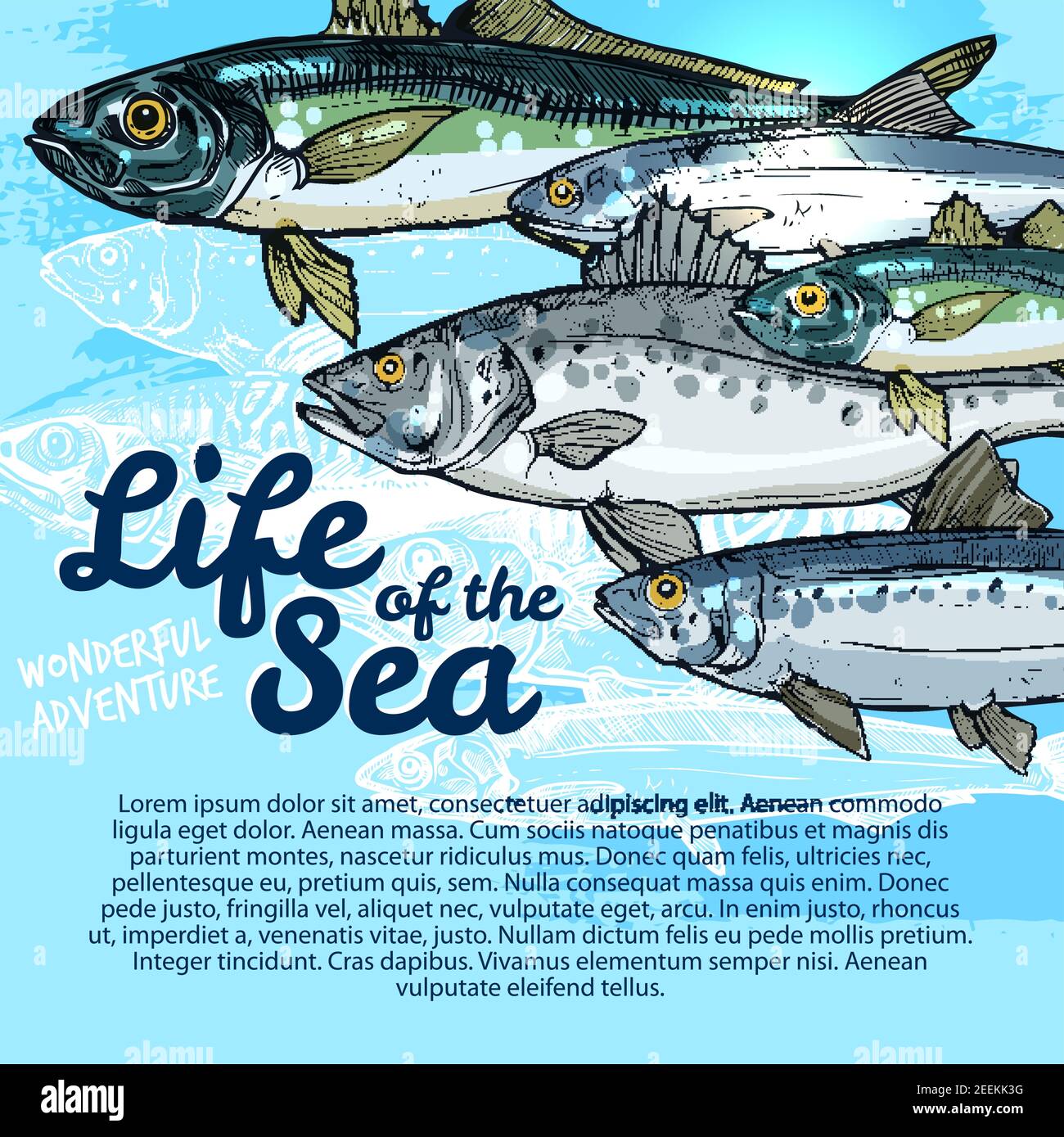 Sea life fish vector poster template of trout, sprat or mackerel and ...