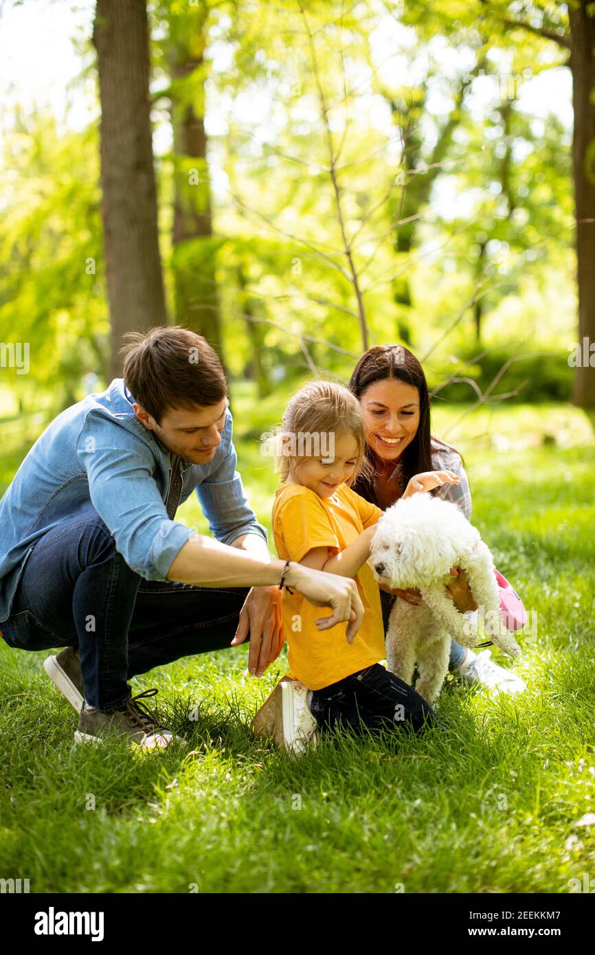 Beautiful happy family is having fun with bichon dog outdoors in the ...