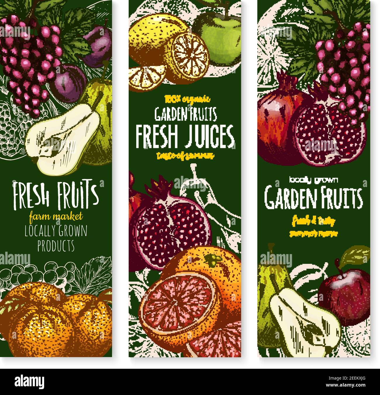 Fruits banners for fresh organic product or fruit farm market. Vector ...