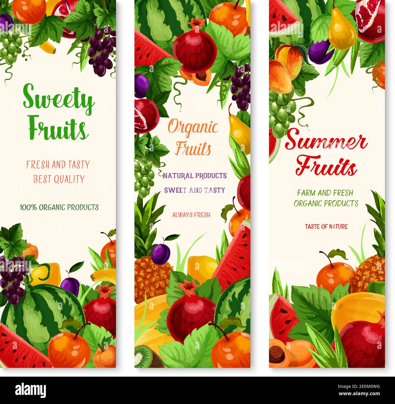 Melon mango Stock Vector Images - Alamy