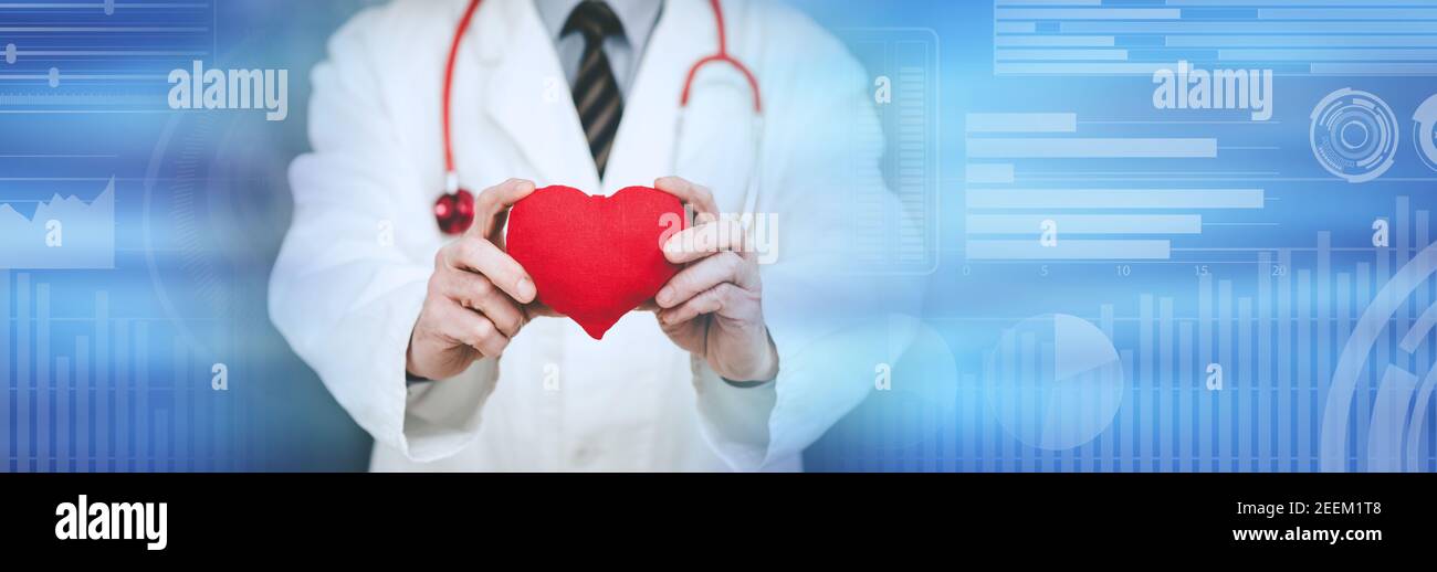 Doctor showing red heart; cardiology concept; panoramic banner Stock ...