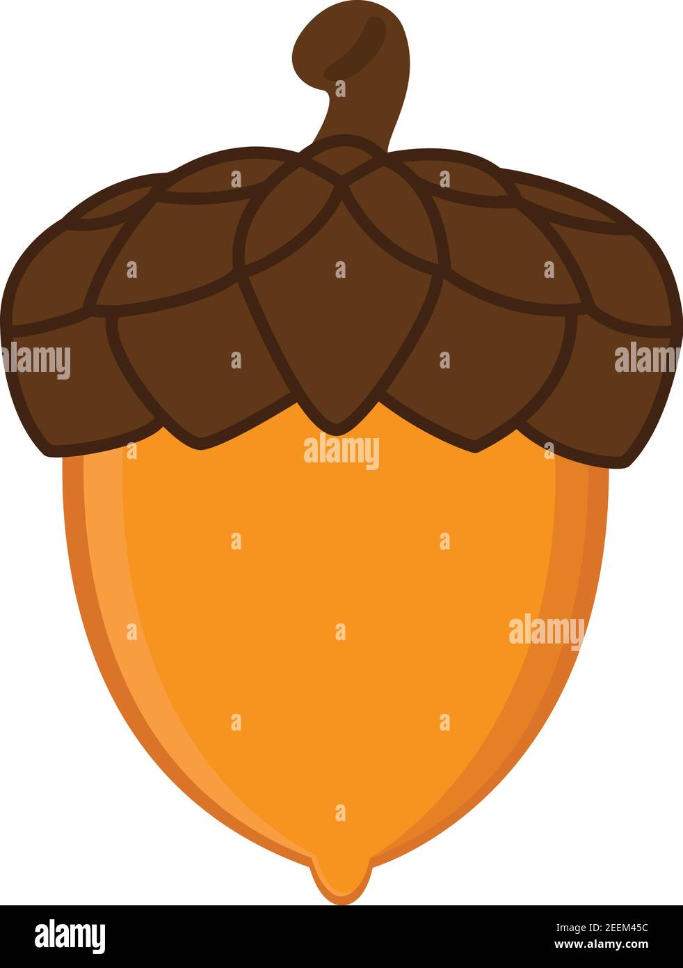 Acorn oak nut Stock Vector Image & Art - Alamy