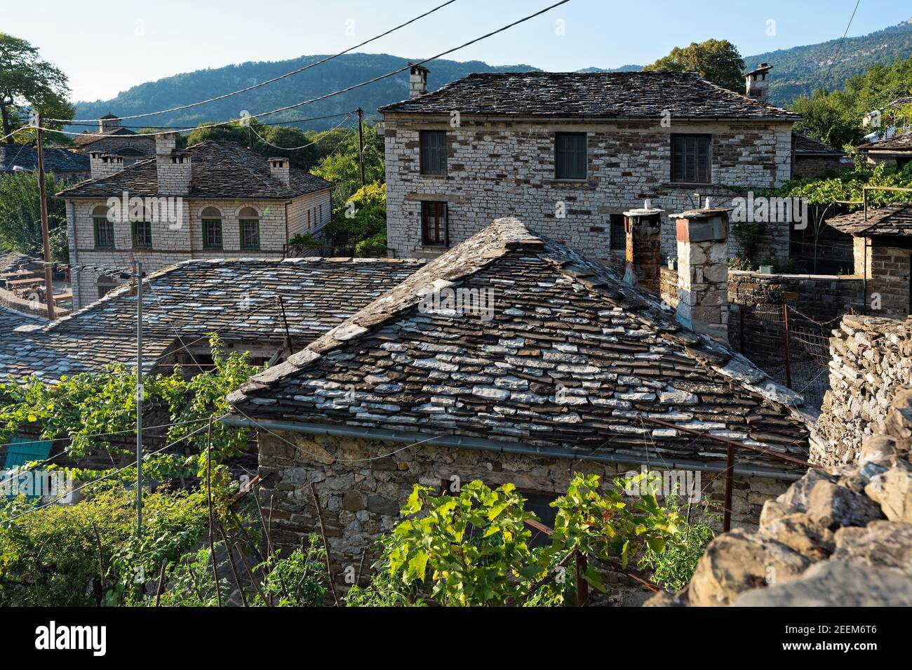 Mikro papigo hi-res stock photography and images - Alamy