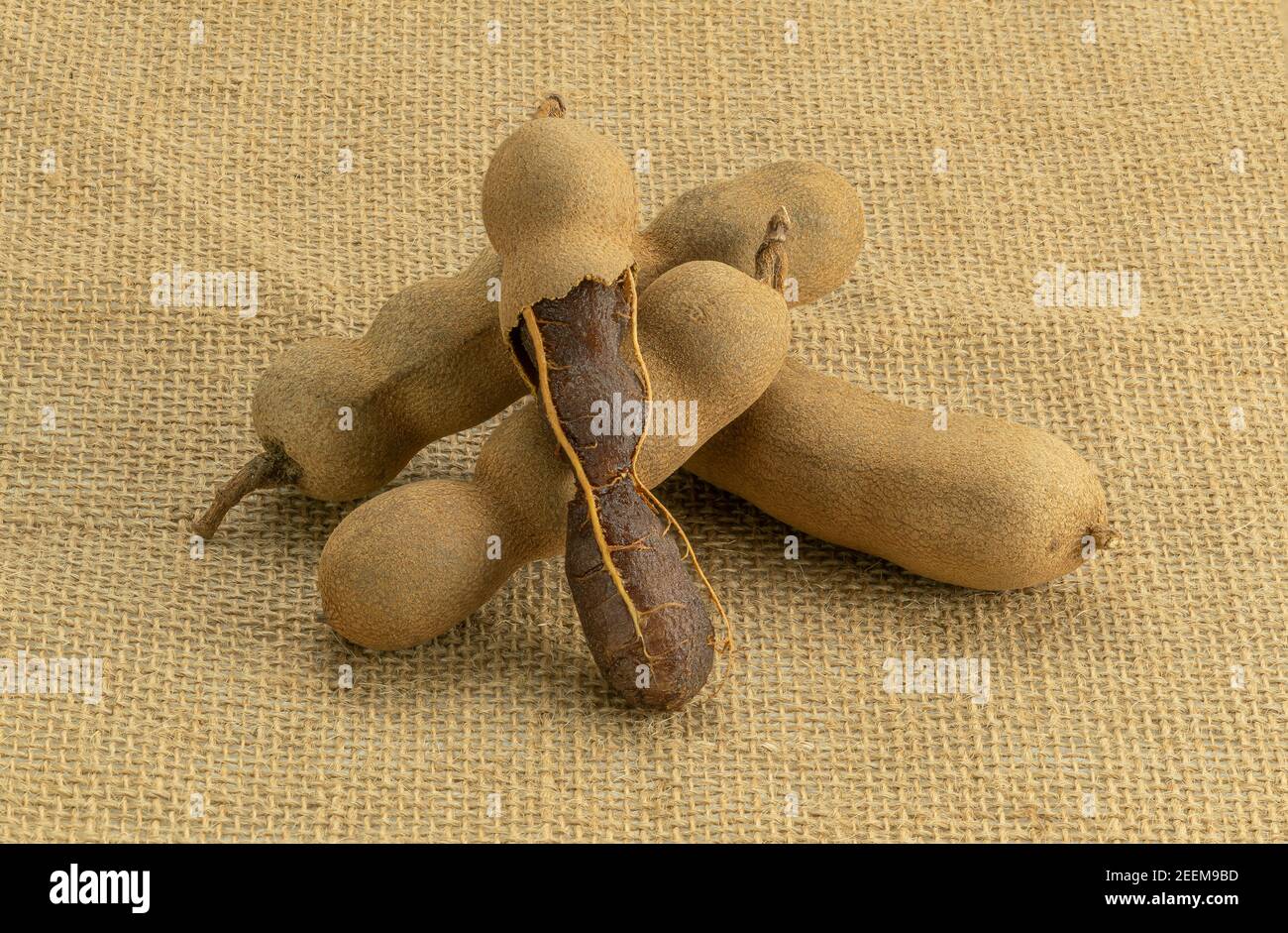 Ripe Tamarind High Resolution Stock Photography and Images - Alamy