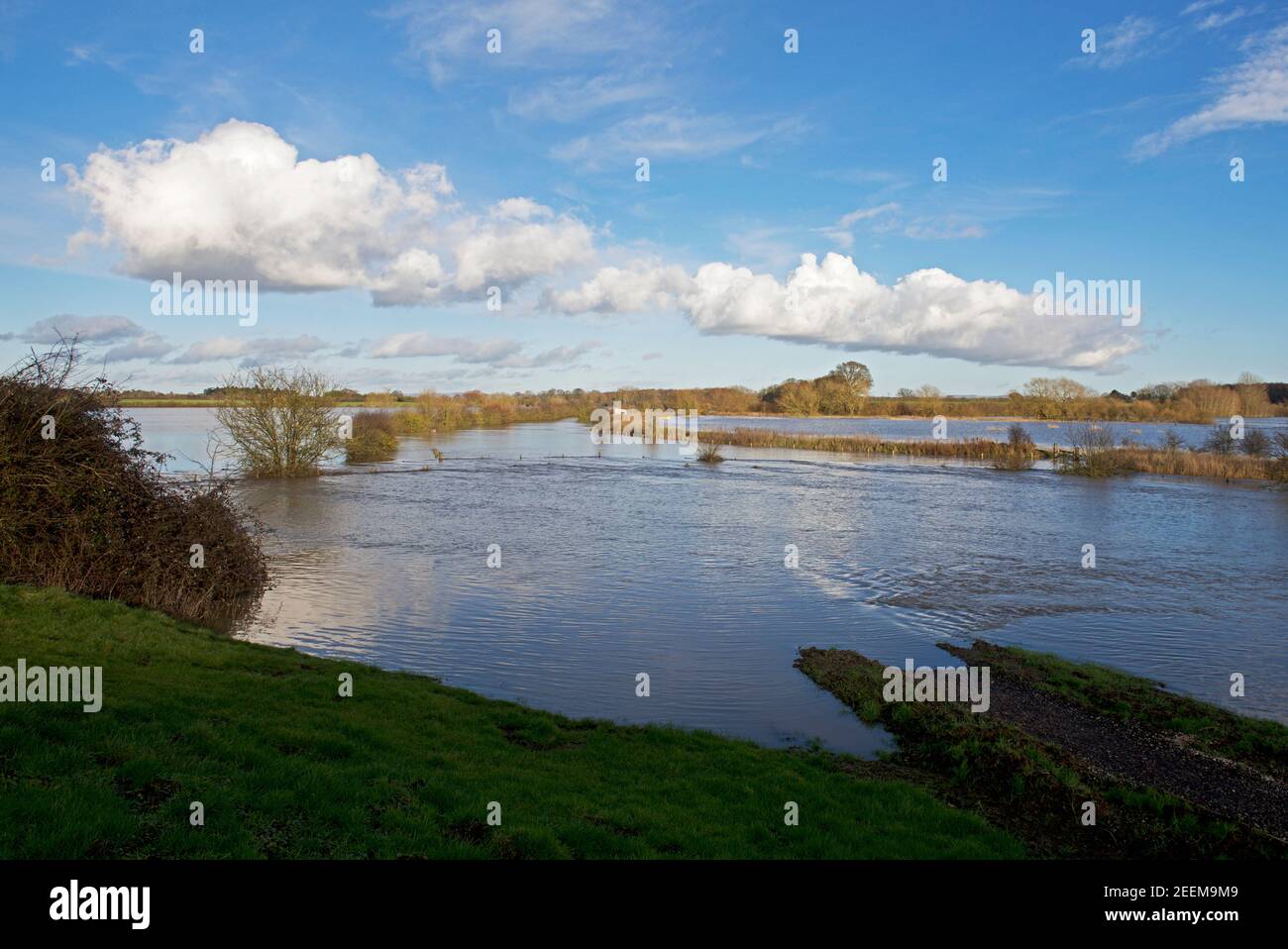 Wheldrake Ings nature reserve, North Yorkshire, England UK Stock Photo ...
