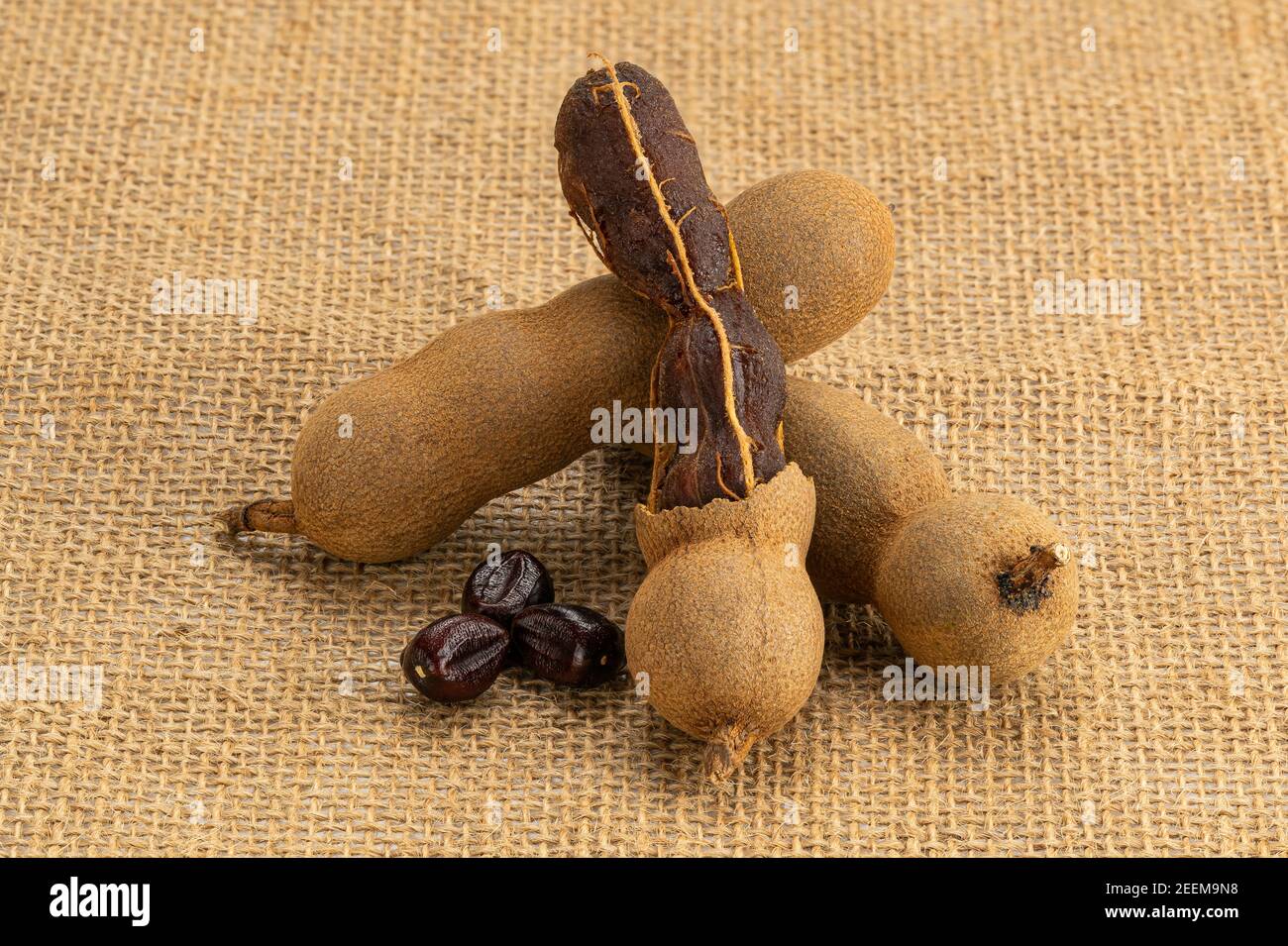 Whole and peeled ripe tamarind with seeds on sackcloth.Tamarind is a ...