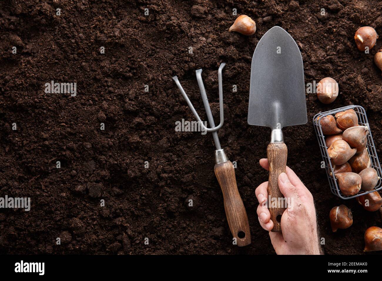 Hand planting bulb in soil hi-res stock photography and images - Alamy