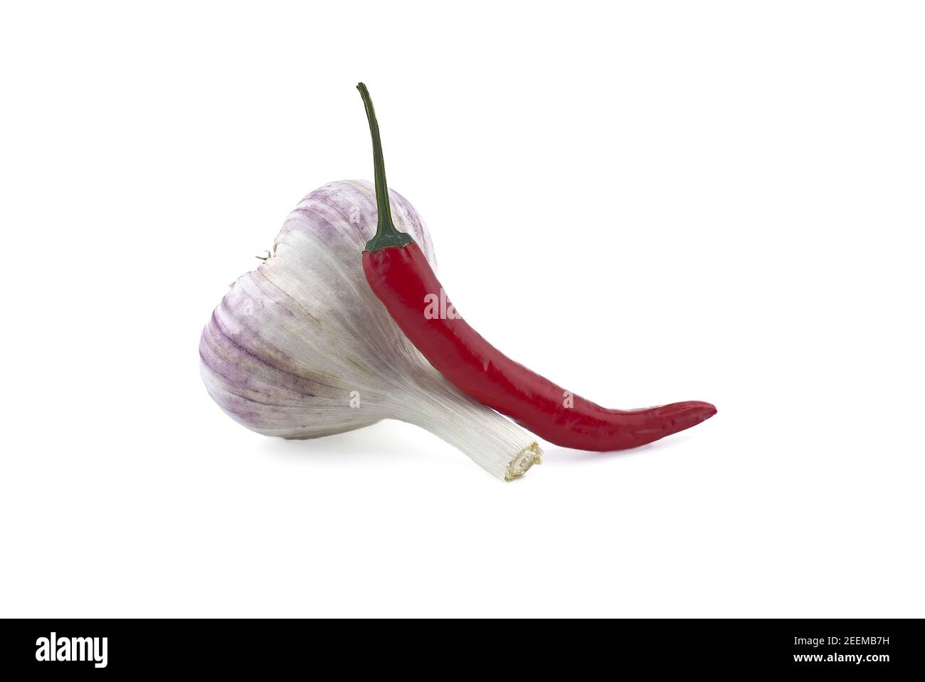 Garlic bulb and fresh small red chili pepper in close-up isolated on ...