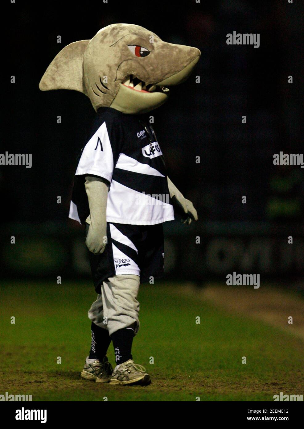 Sale sharks mascot hi-res stock photography and images - Alamy