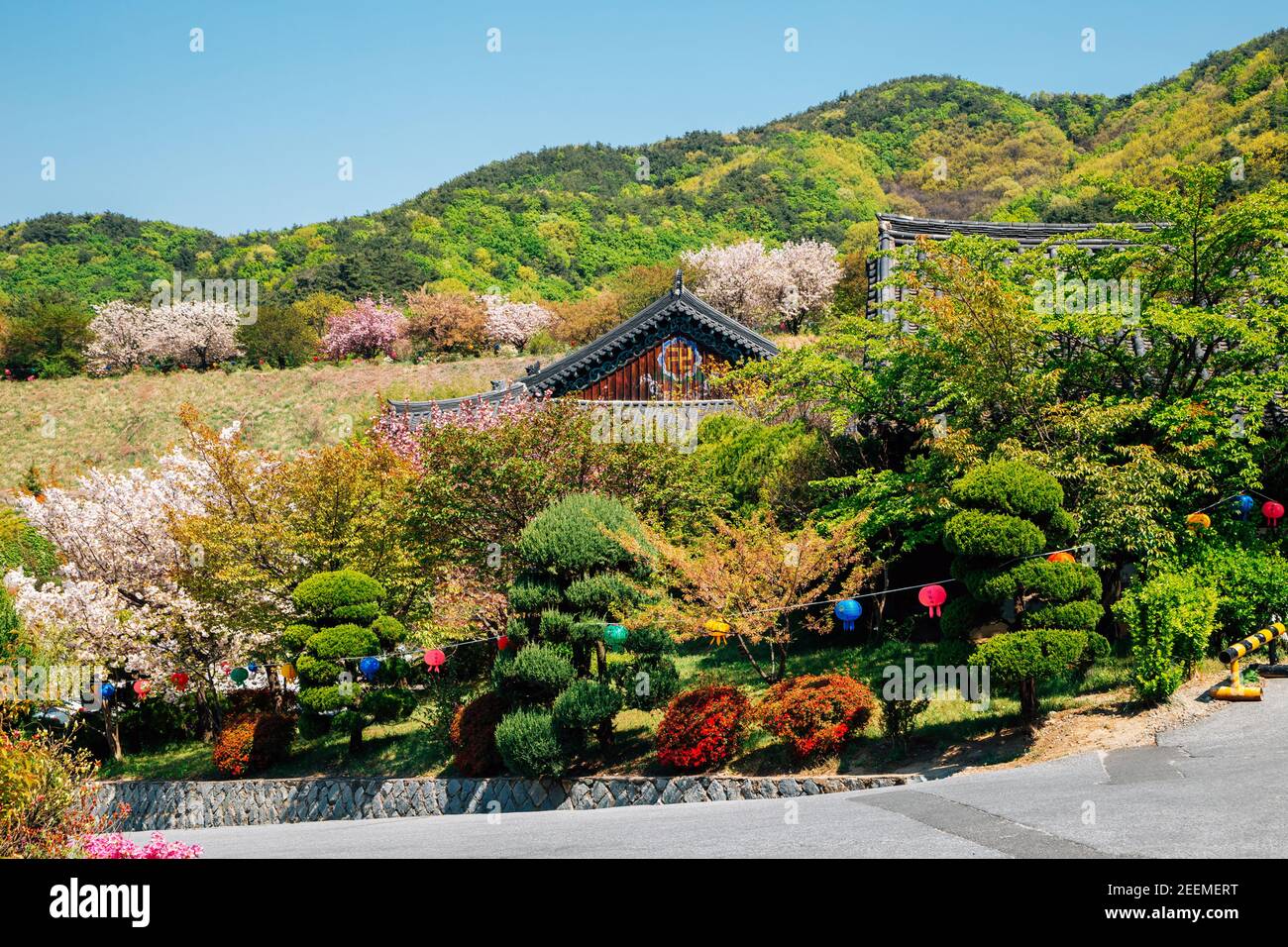 Plant temple spring flower hi-res stock photography and images - Alamy
