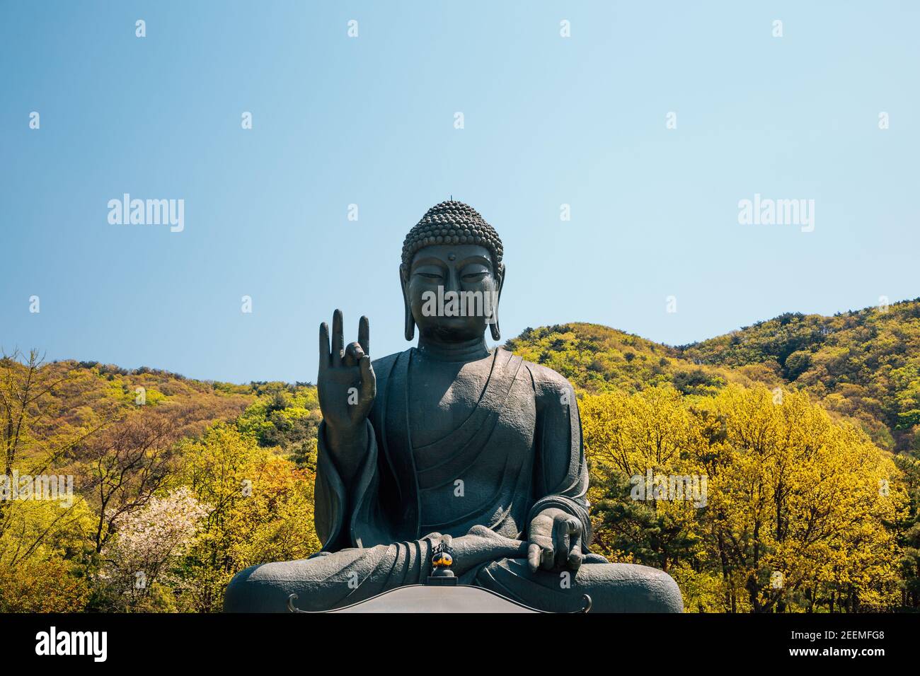 Buddha statue at Gakwonsa Temple in Cheonan, Korea Stock Photo - Alamy