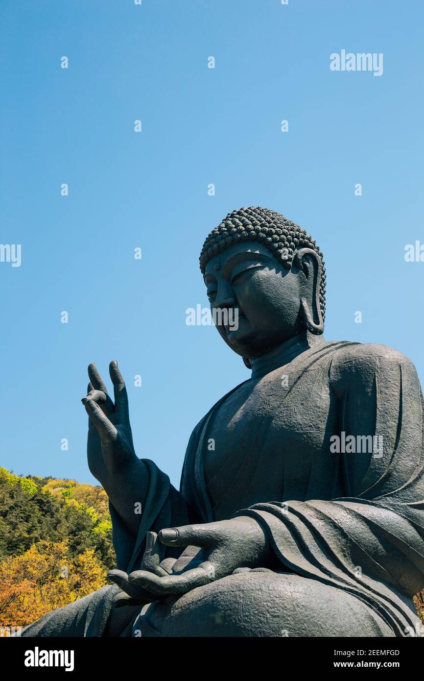 Buddha statue at Gakwonsa Temple in Cheonan, Korea Stock Photo - Alamy