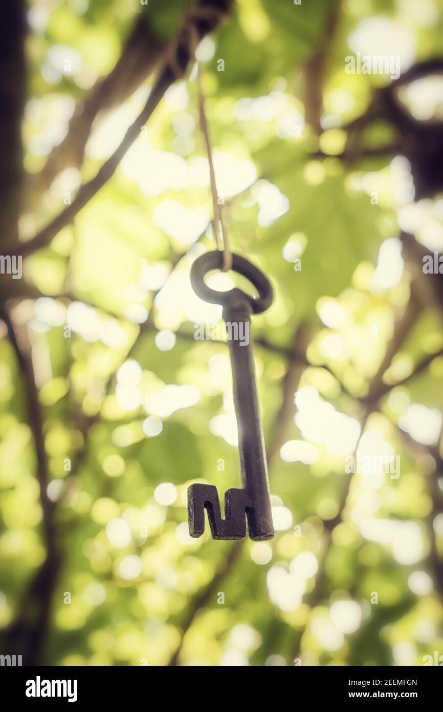 Antique wrought iron key hanging with string from a tree branch Stock ...