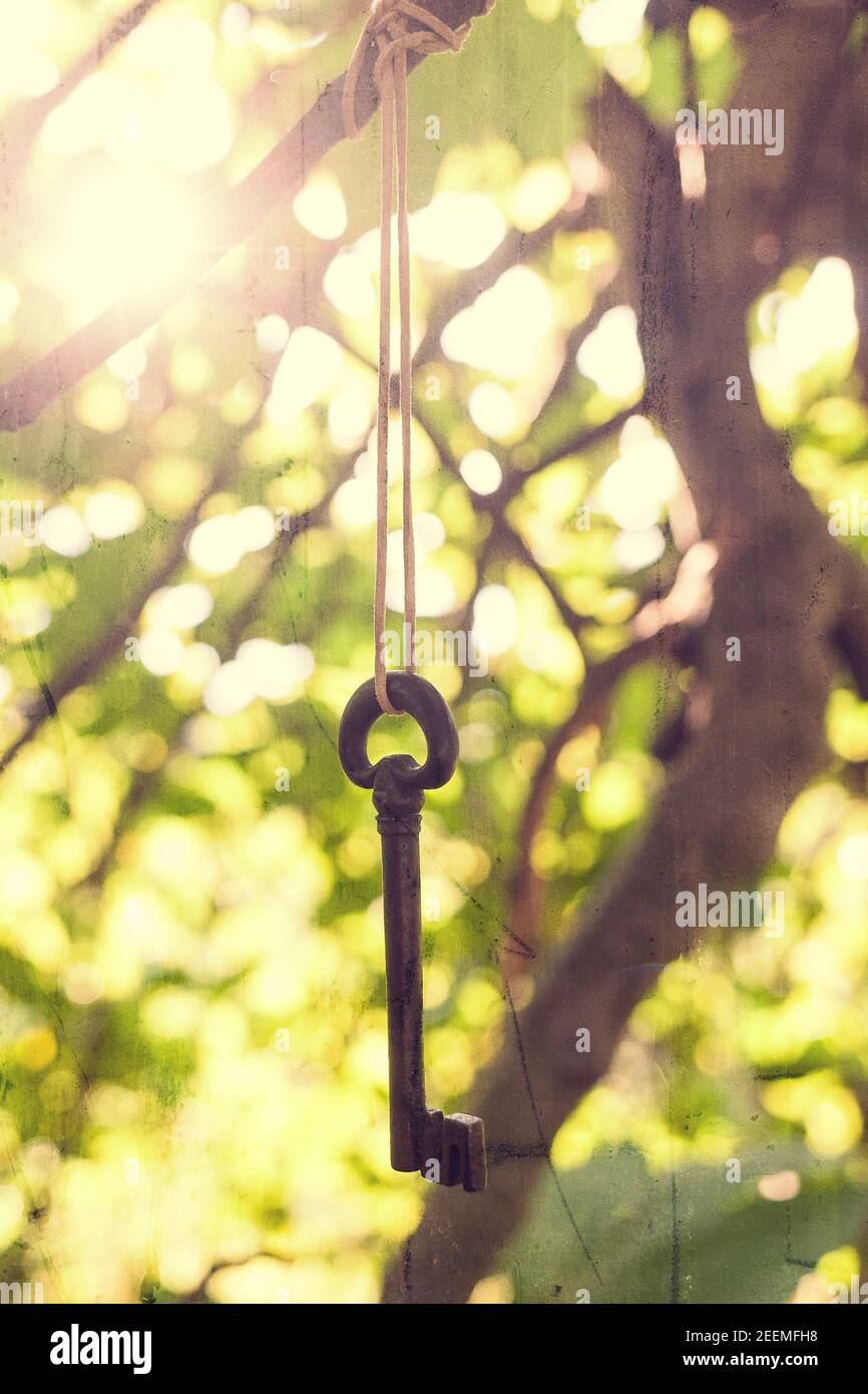 Antique wrought iron key hanging with string from a tree branch Stock ...