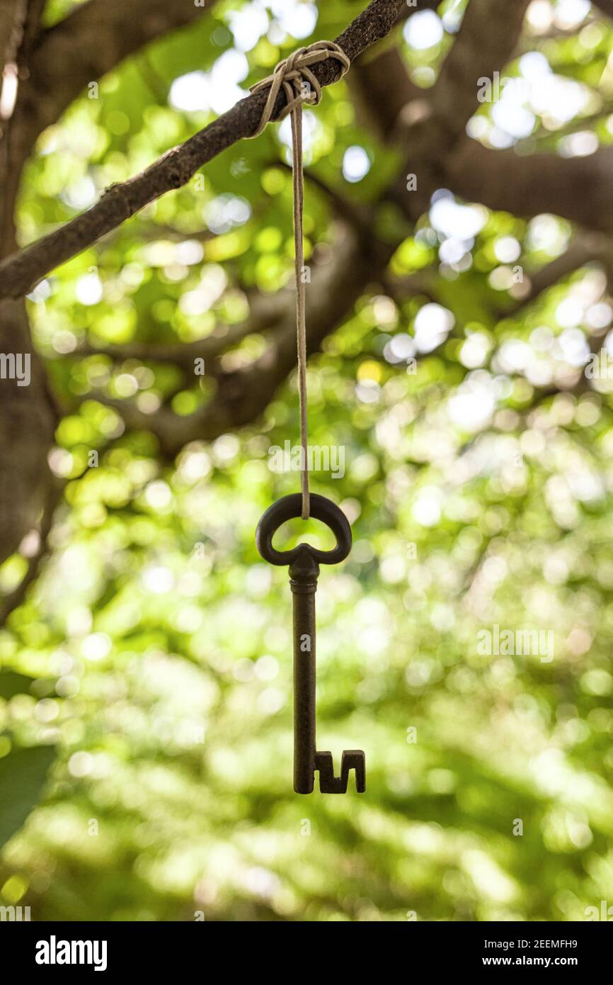 Antique wrought iron key hanging with string from a tree branch Stock ...