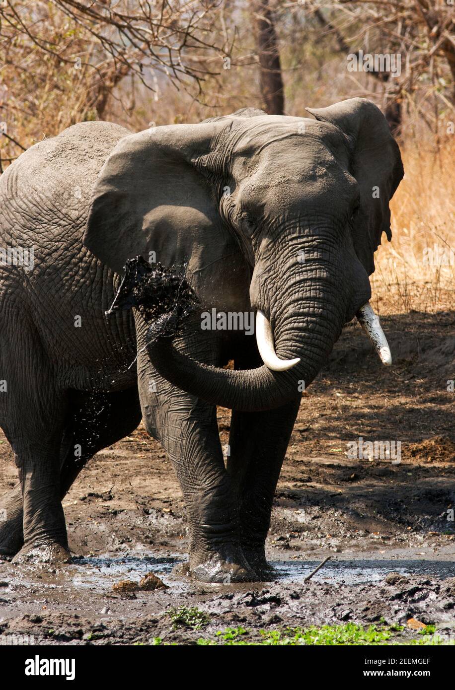 Cooling down body temperature hi-res stock photography and images - Alamy