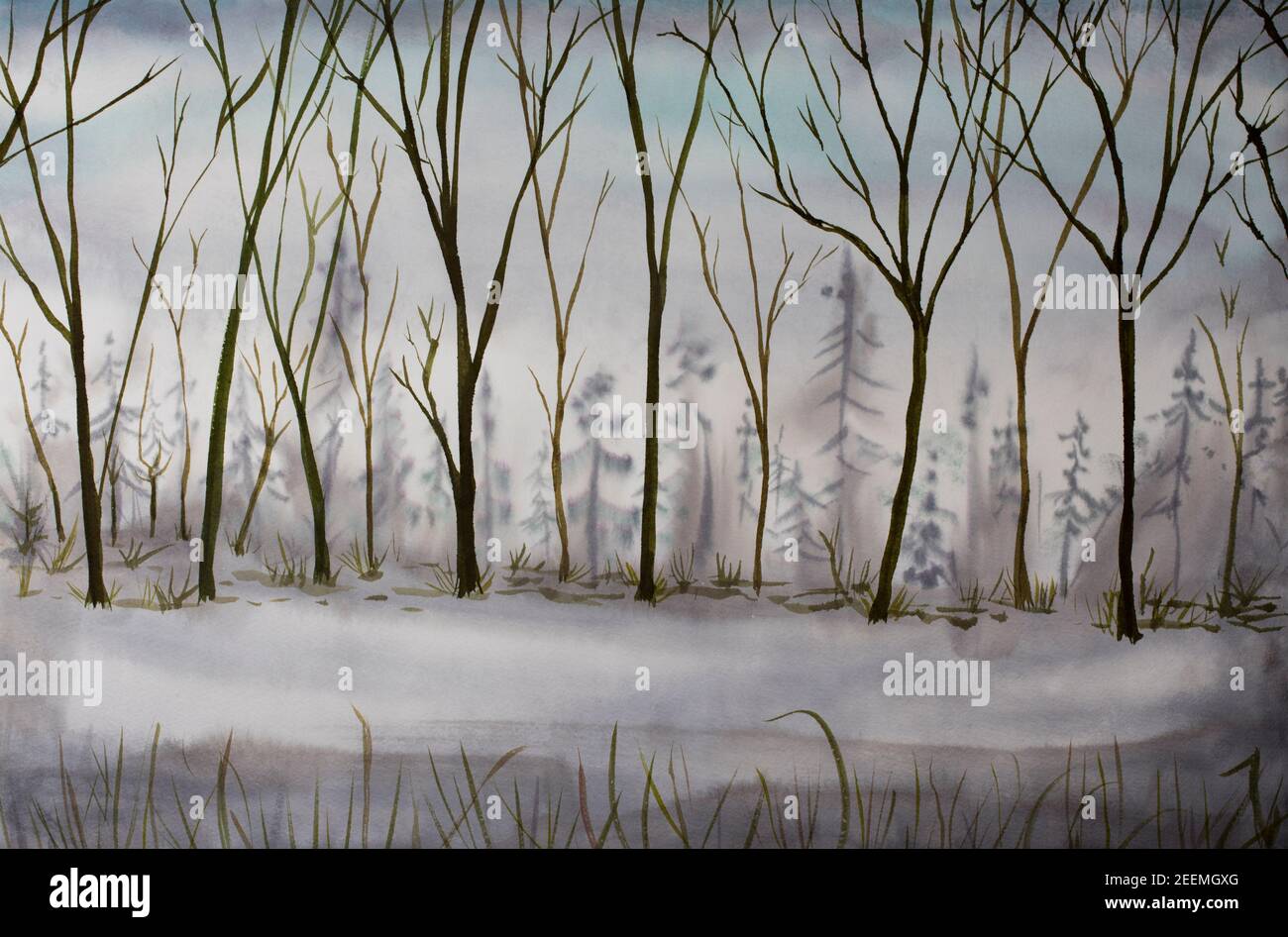 winter forest illustration outdoor scenery under the snow Stock Photo ...