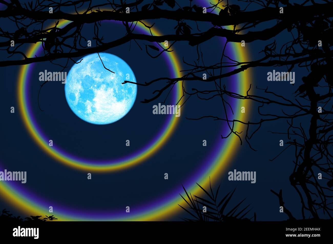 harvest blue moon double halo branch trees in the night sky, Elements ...