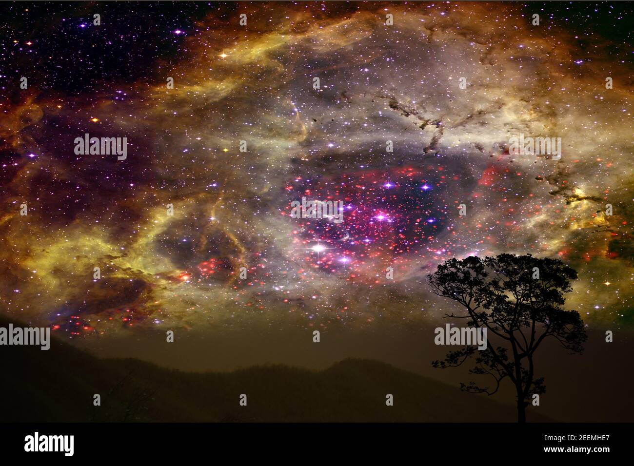 Nebula on the dark night sky in space over silhouette tree, Elements of ...