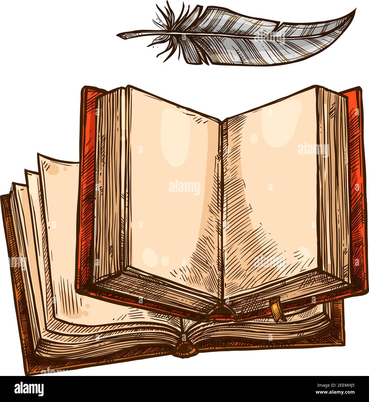 Open book and feather pen sketch with copy space. Vintage books with ...