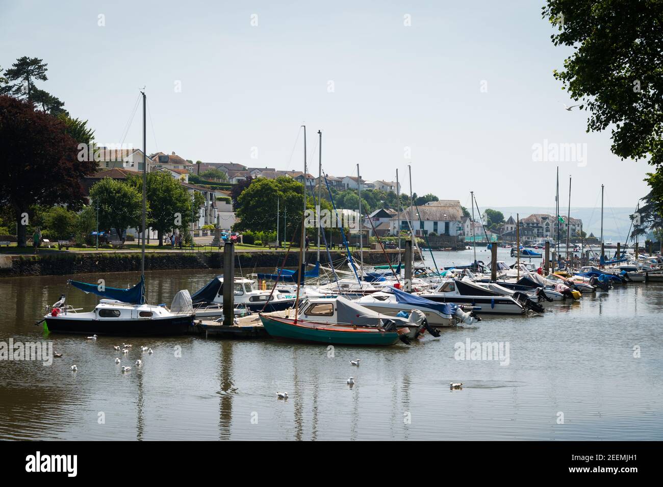 Marina docking mooring moorings hi-res stock photography and images - Alamy
