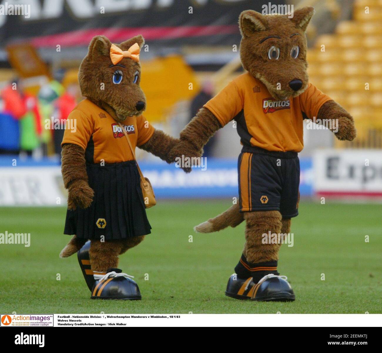 Wolverhampton wolves mascots hi-res stock photography and images - Alamy