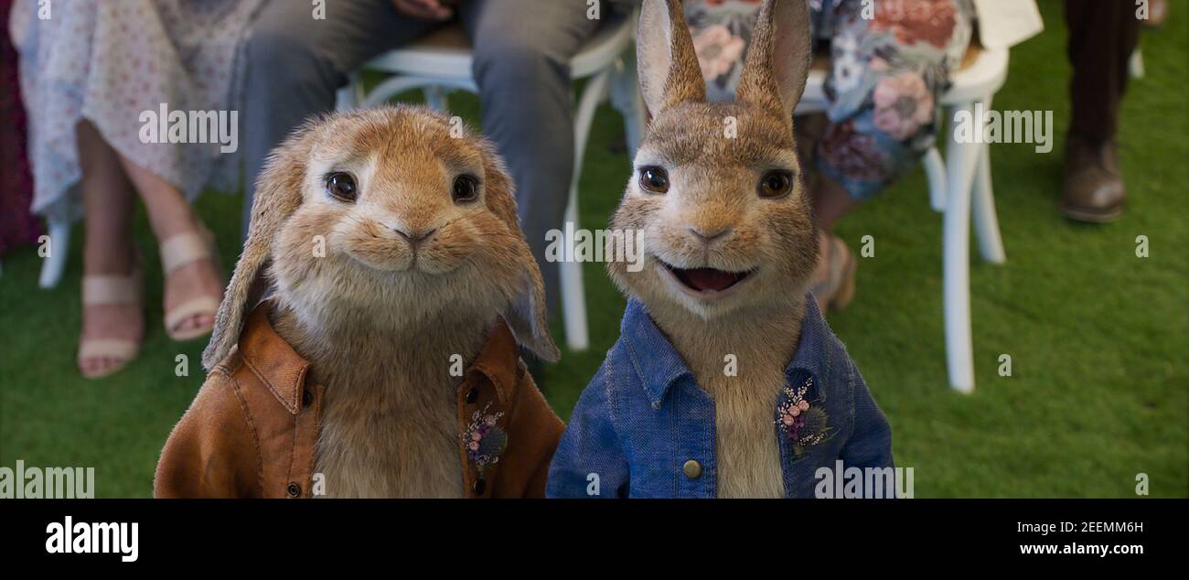 Benjamin, Peter Rabbit,"Peter Rabbit 2: The Runaway" (2020) Credit ...