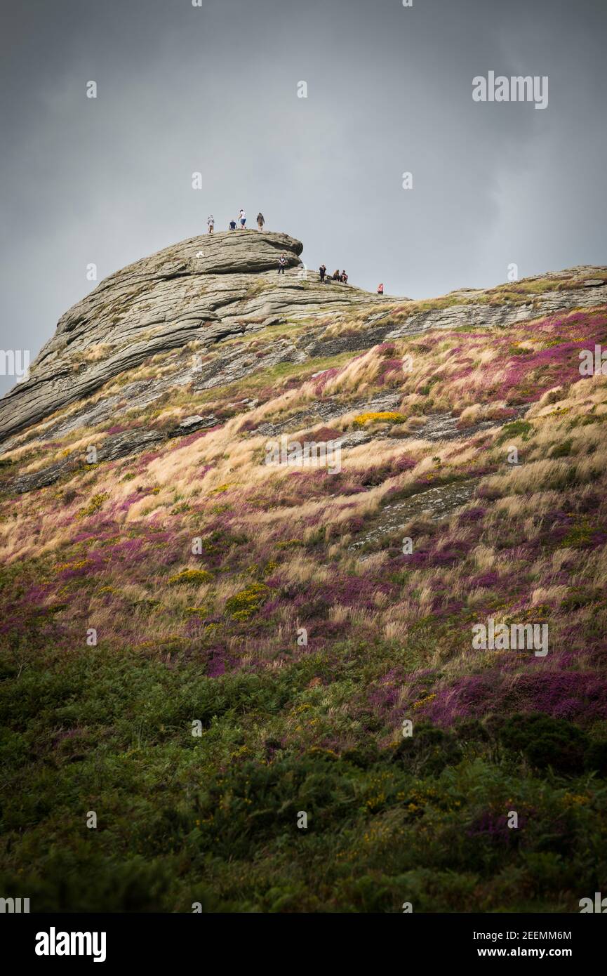 Dartmoor hay tor moorland hi-res stock photography and images - Alamy