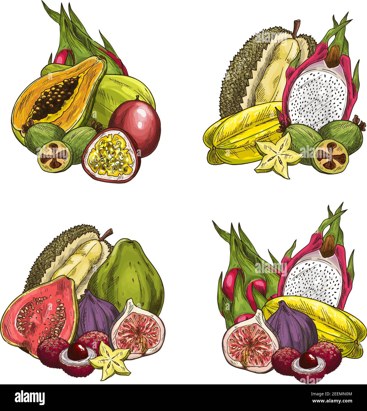 Exotic tropical fruits icons. Vector set of papaya, feijoa or ...