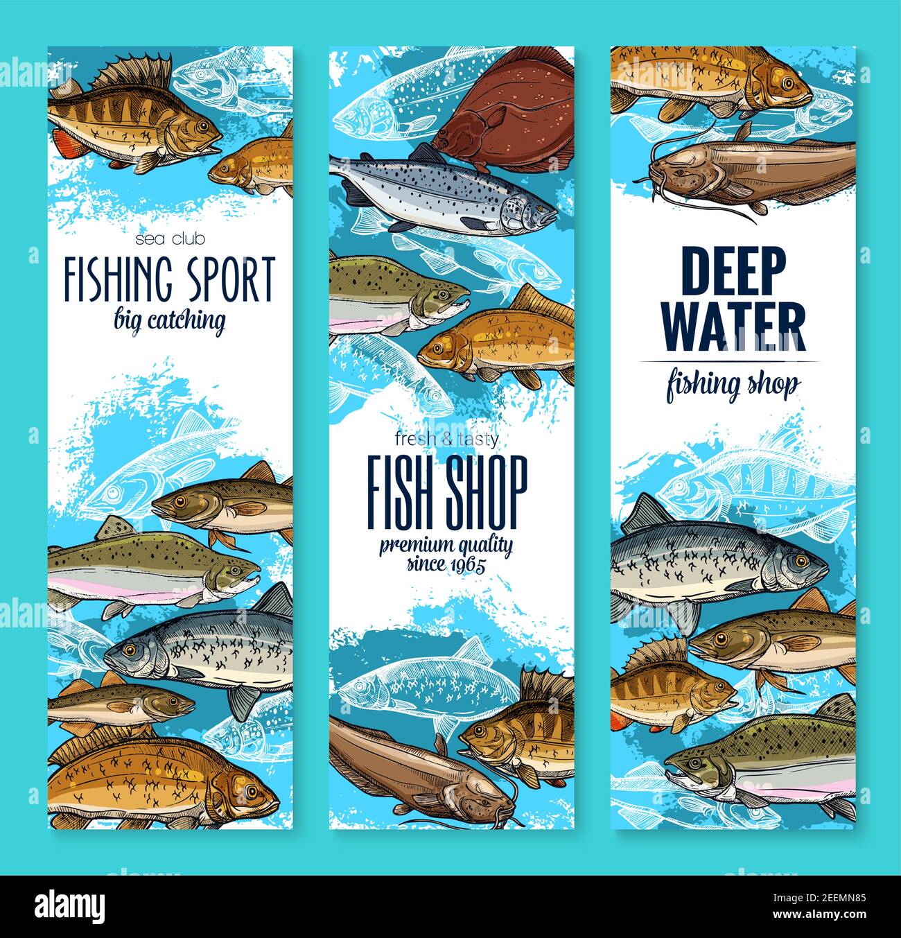 fishing and seafood banners set. Salmon, tuna and sea bass, perch ...