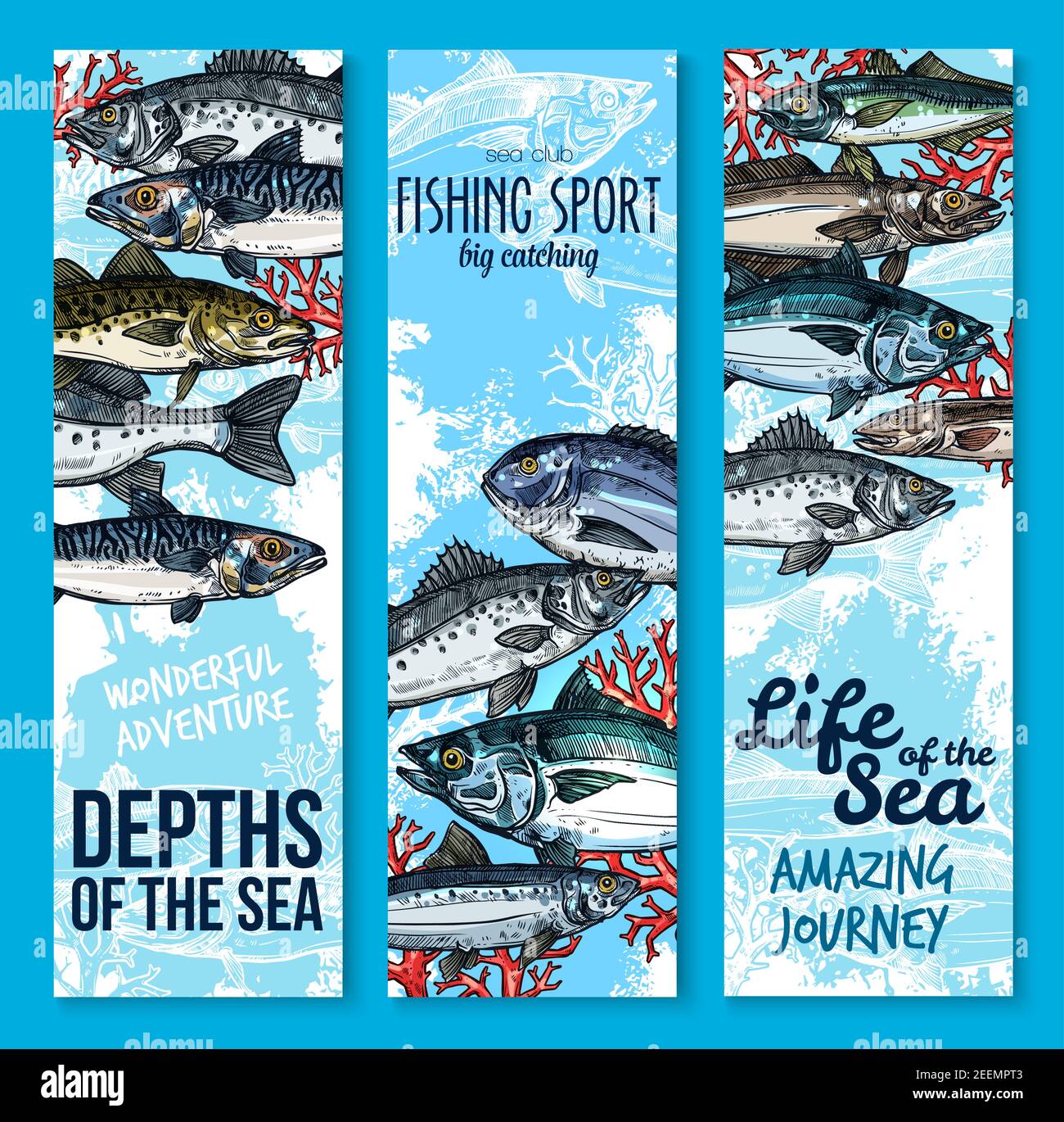 Sea fish and fishing sport club banners. Fresh seafood, salmon, tuna ...
