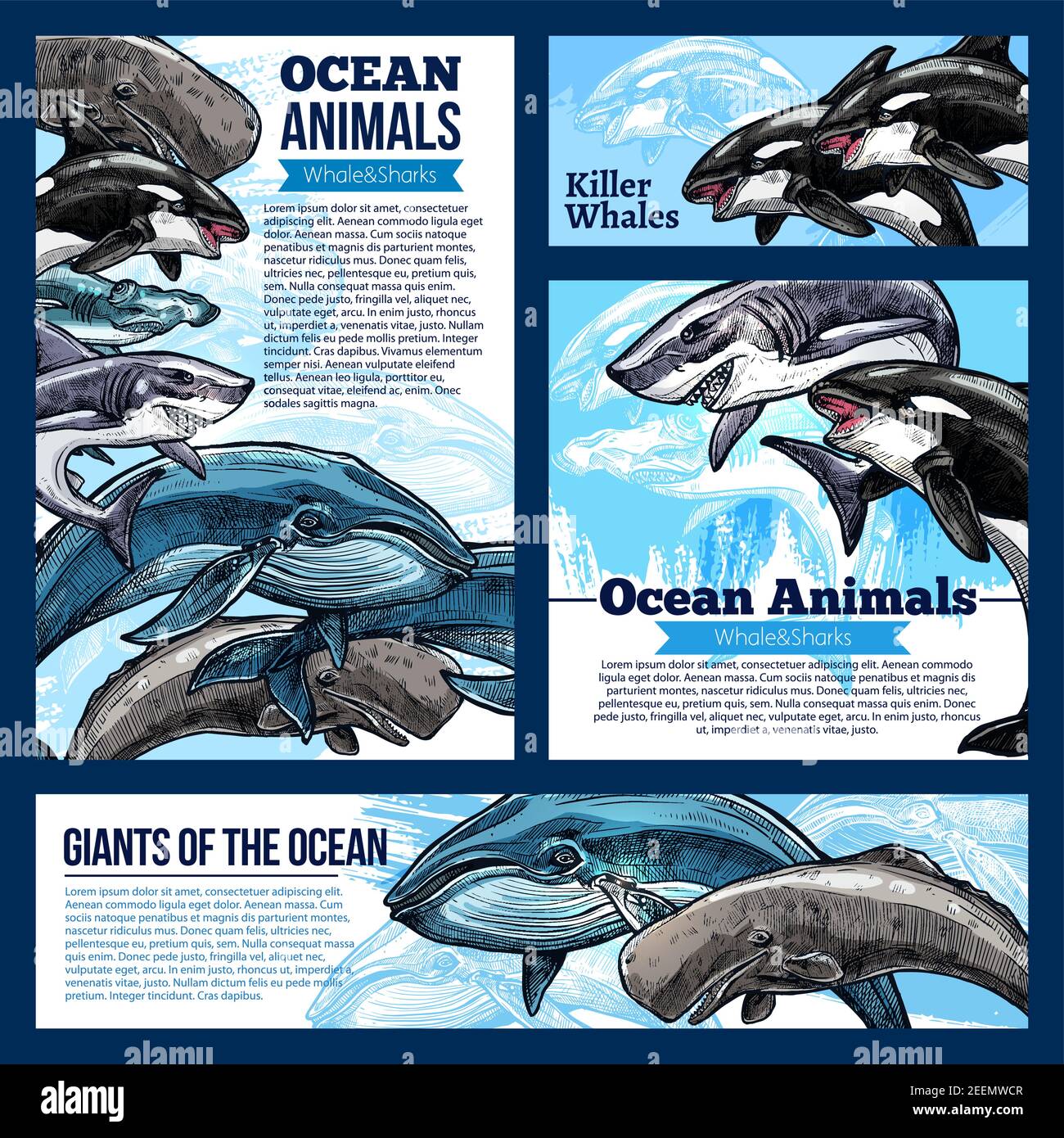 Whale and shark, giant ocean animal banners. Whale, reef shark, killer ...
