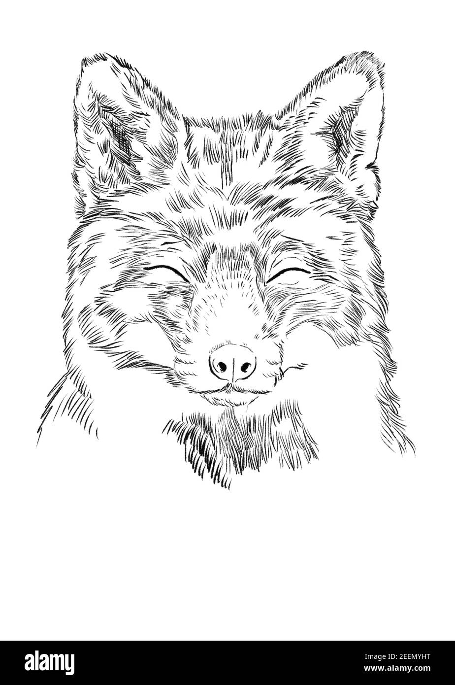 smiling fox illustration Stock Photo - Alamy