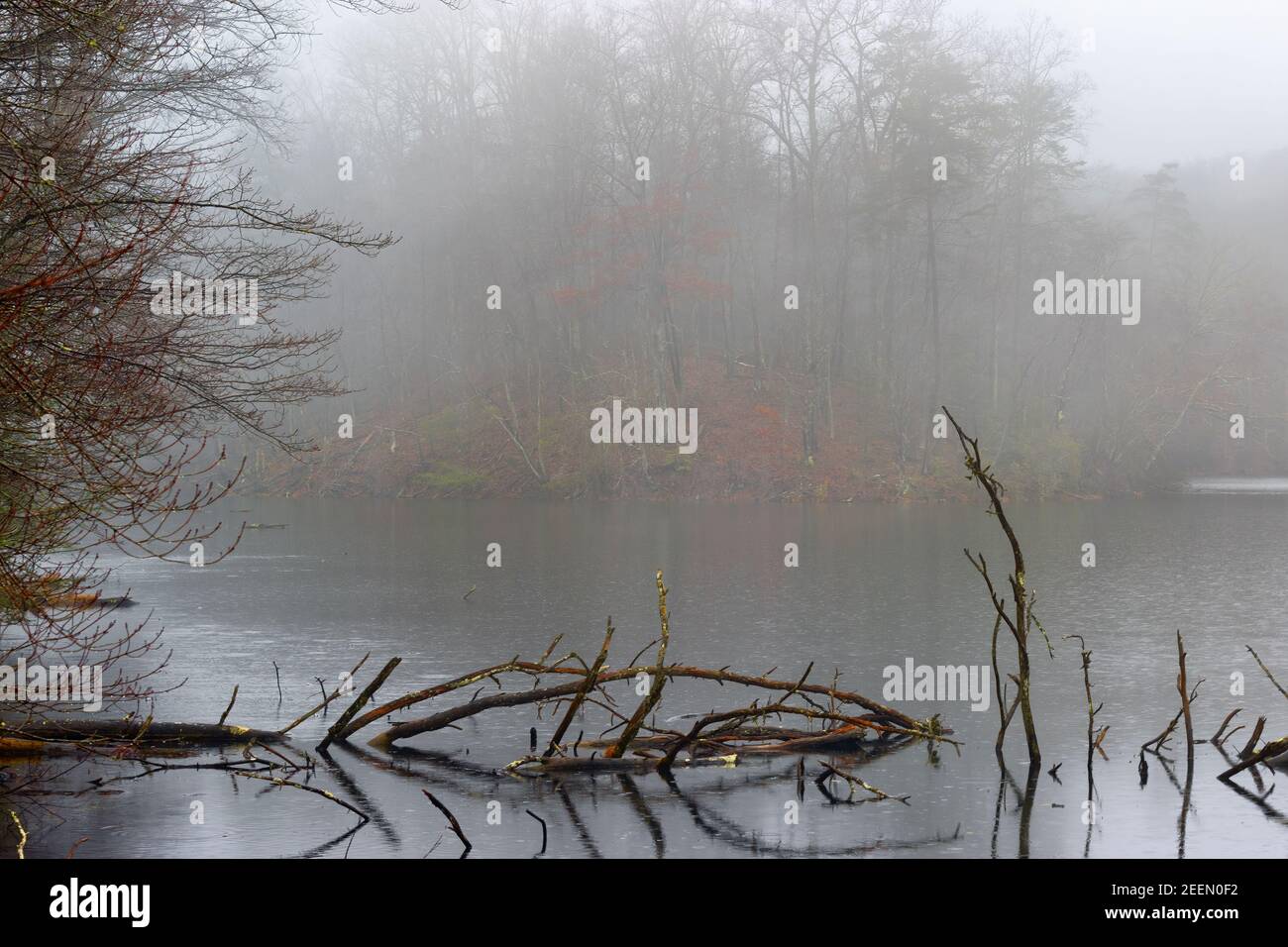 Landscape view while hiking in the rain and fog at Bays Mountain Park ...