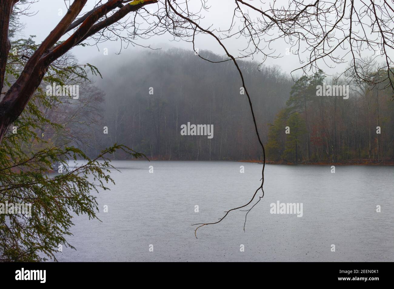 Landscape view while hiking in the rain and fog at Bays Mountain Park ...