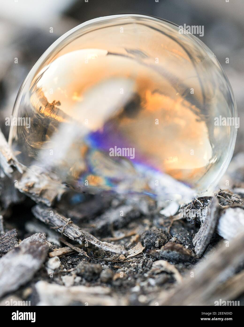 Bubble lab circle hi-res stock photography and images - Alamy