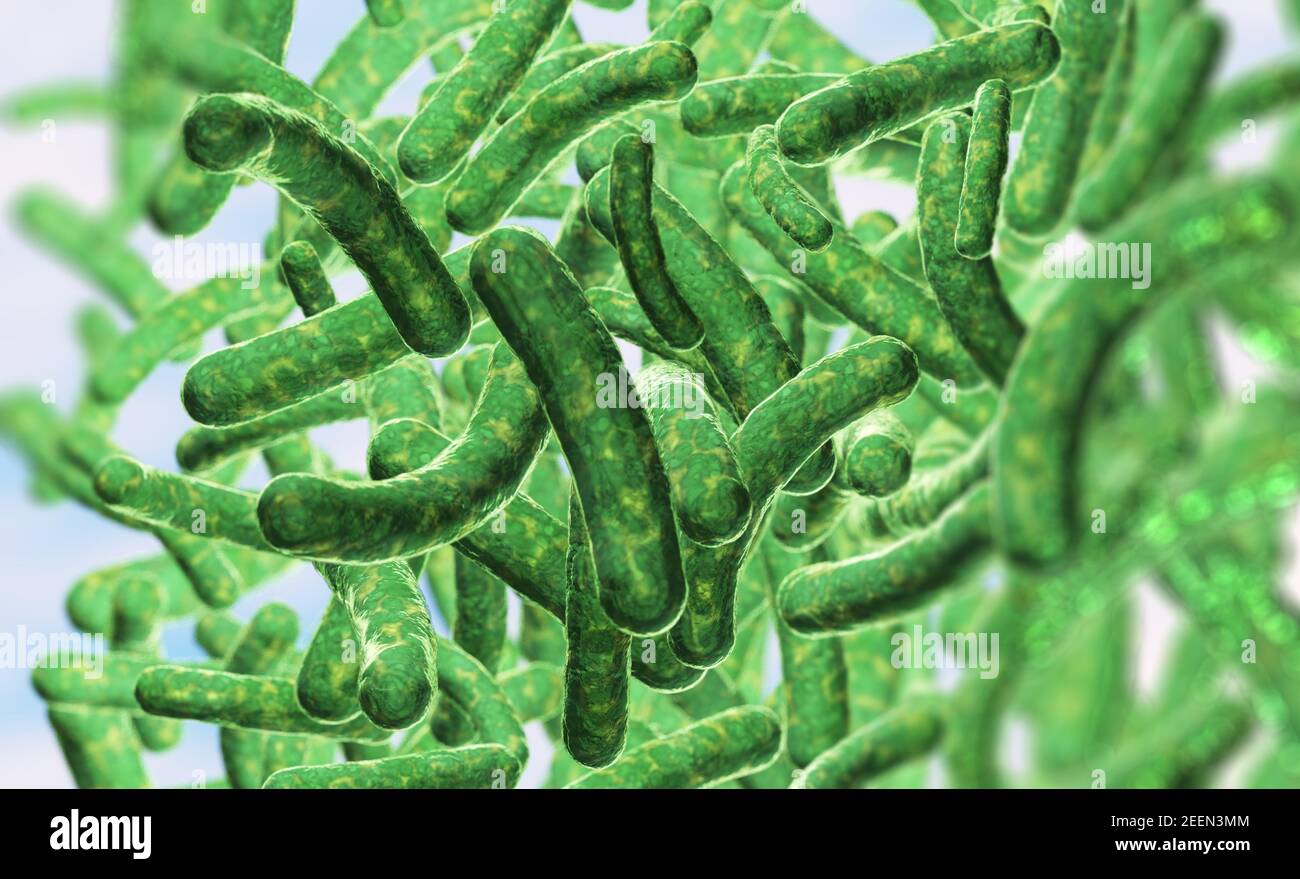 Bacterial cell hi-res stock photography and images - Alamy