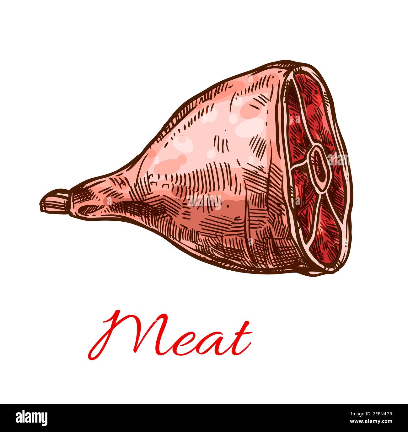 Beef hind leg meat Stock Vector Images - Alamy
