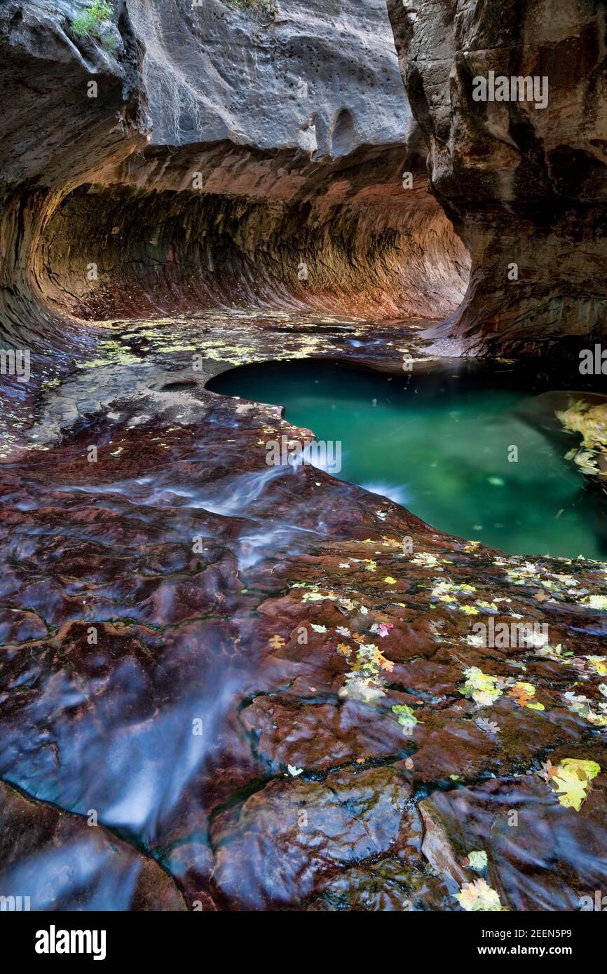 Vertical of green pool, flowing water and a circular rock formation at ...