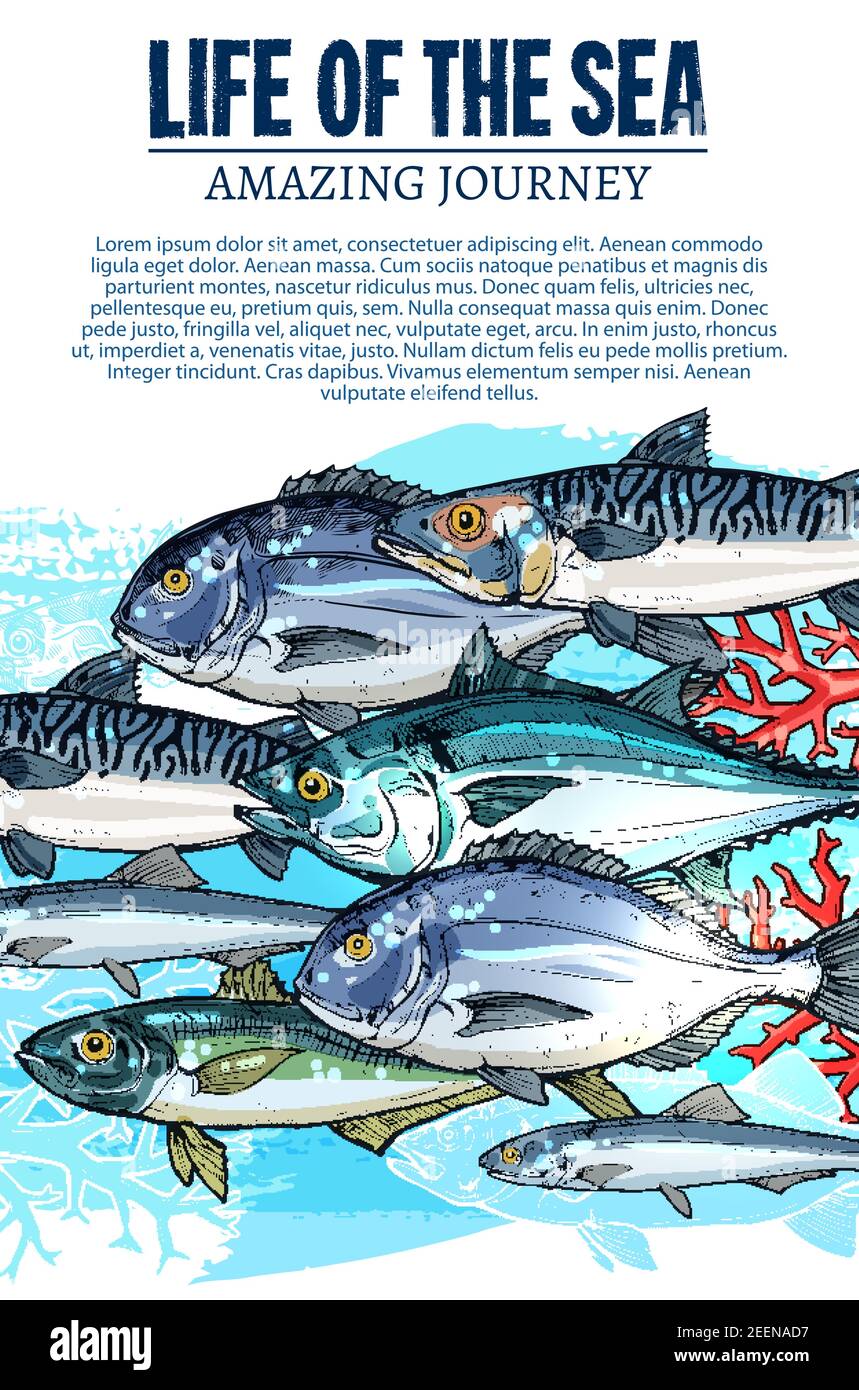 Fish sea life poster Stock Vector Images - Alamy