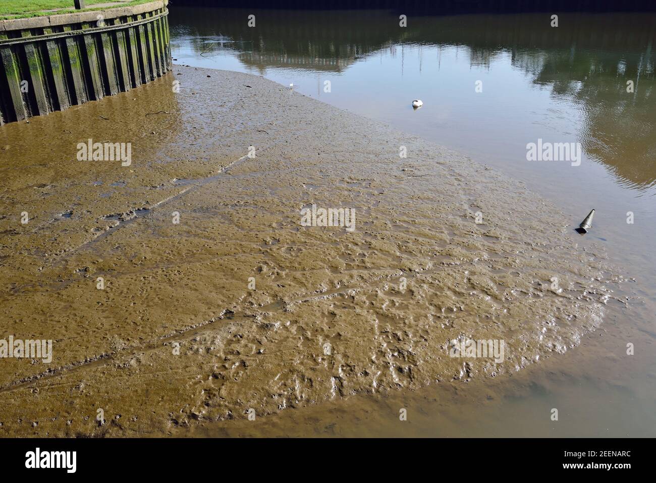 Mud riverbed river bed hi-res stock photography and images - Alamy