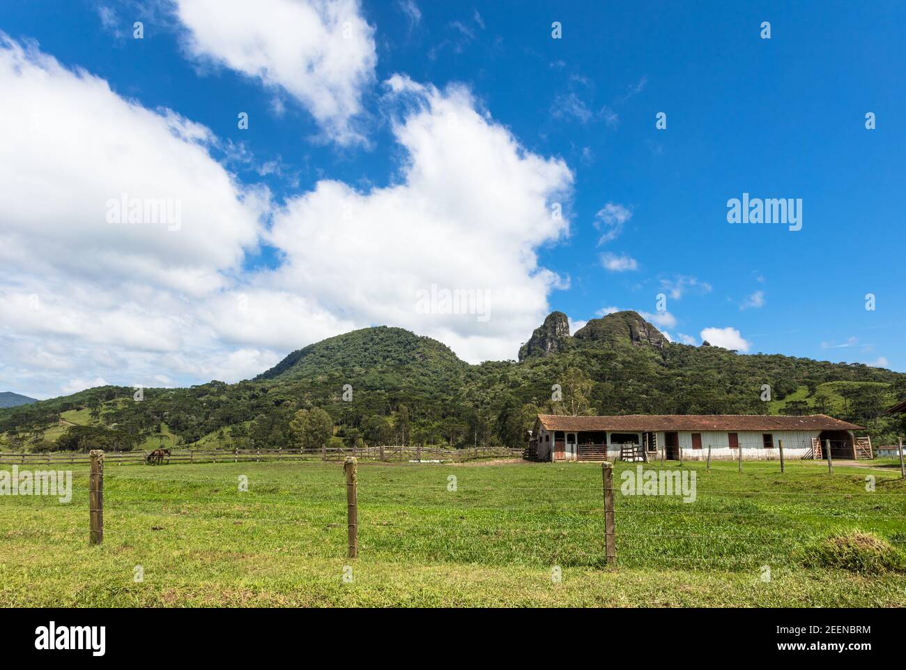Morning view of a ranch with horses in southern Brazil Stock Photo - Alamy
