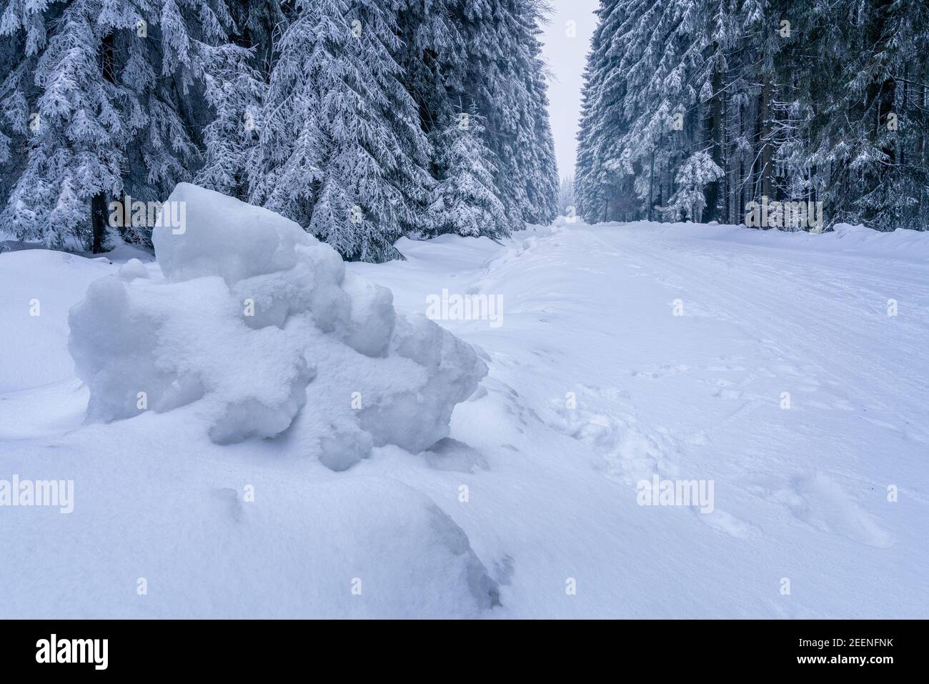 Narrow road through winter forest hi-res stock photography and images ...